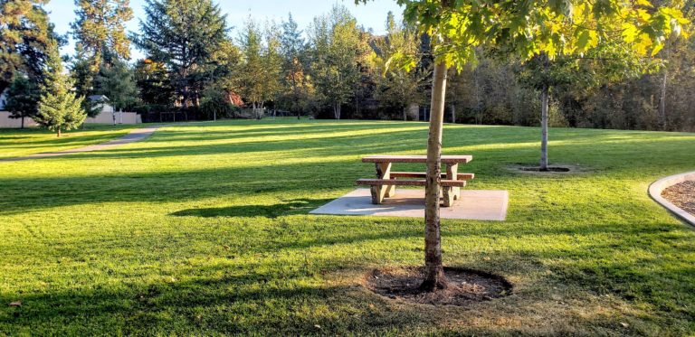 Exploring Mission Creek and Nearby Parks – My Wanderlust Walking