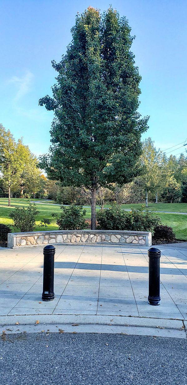 Exploring Mission Creek and Nearby Parks – My Wanderlust Walking
